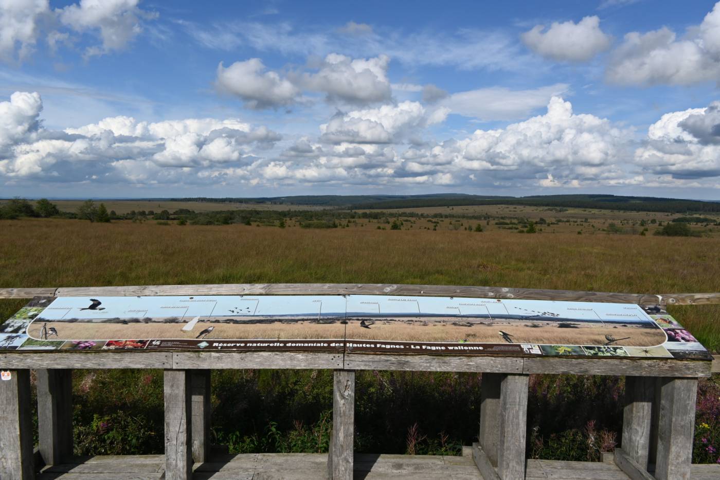 Tourist Info Signal de Botrange - Belgique → Cantons de l‘Est